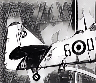 airplane tail black and white – The Pilot Wife Life