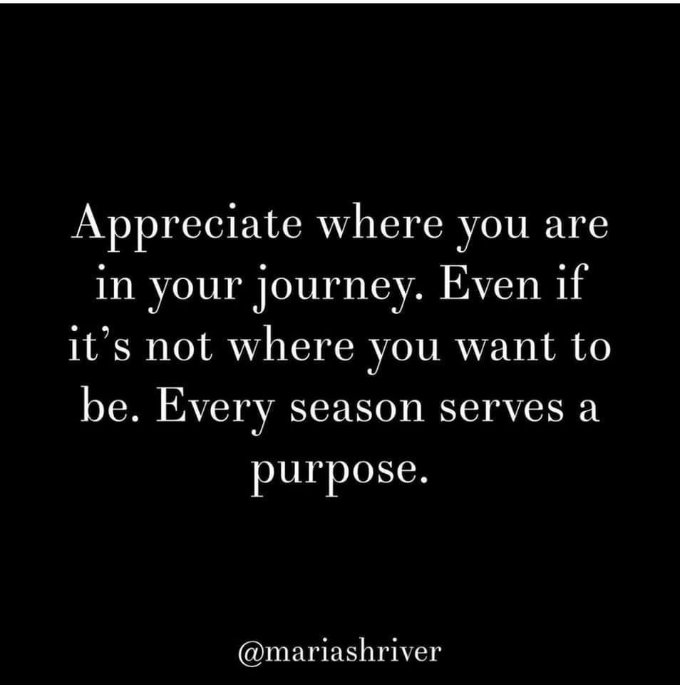 meme journey purpose – The Pilot Wife Life